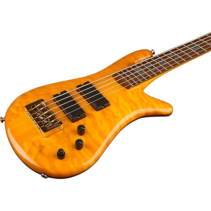 Spector 5 String Bass