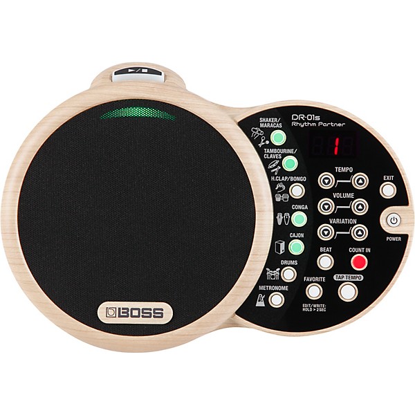 Boss DR-01S Rhythm Partner Drum Machine | Music & Arts