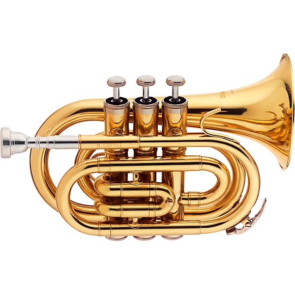 Stagg WS-TR245 Series Bb Pocket Trumpet | Music & Arts