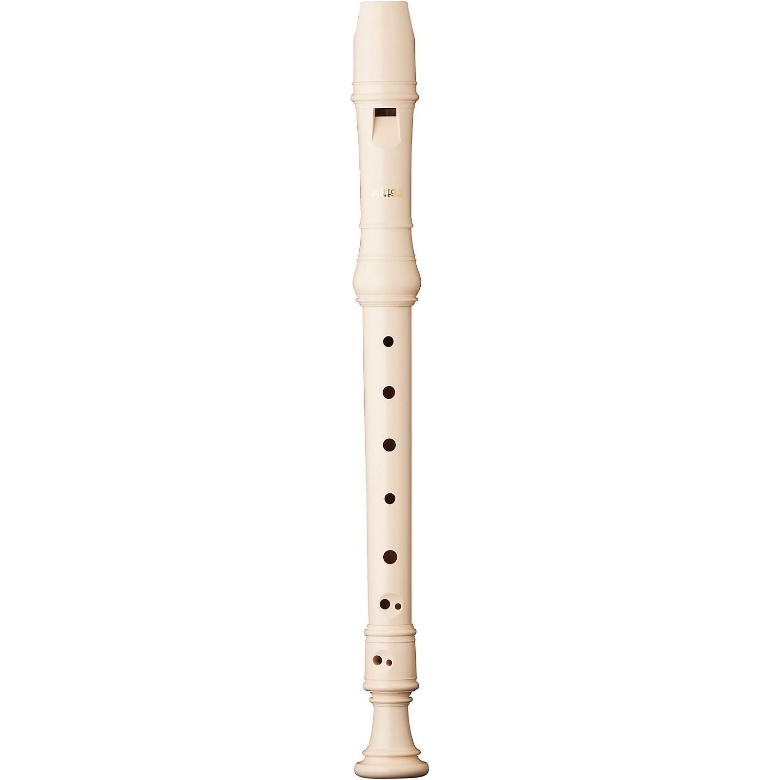 Recorder Instrument